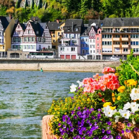 What to know before you send flowers to Germany - Flora Queen